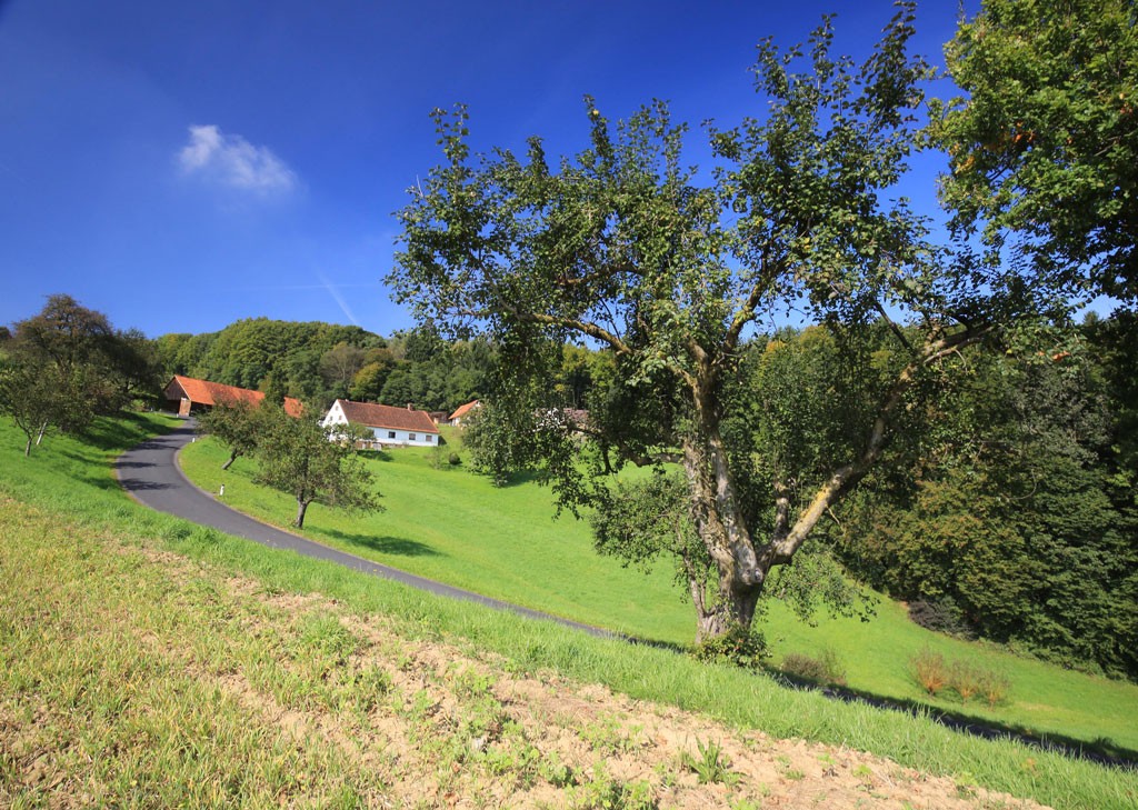 Die Stadt in Bildern - Neue Stadt Feldbach